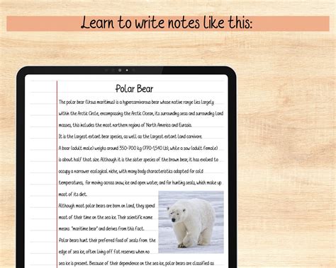 Image result for Speed Writing Practice Sheets