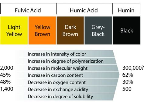 Image result for Humic Compounds