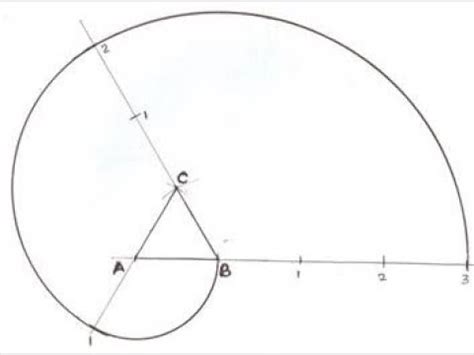 Image result for Involute of Triangle