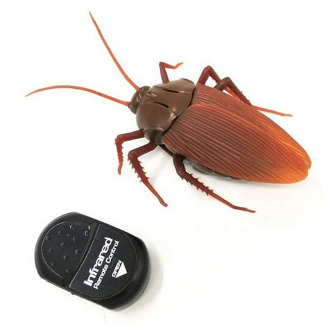 Image result for Cockroach Toy
