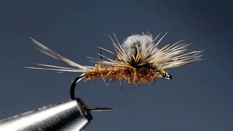 Image result for Floating Nymph Fly Pattern