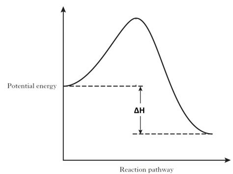 Image result for Exothermic Reaction Energy Graph