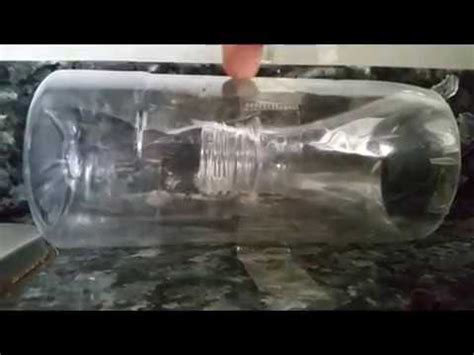 Image result for Easy Homemade Lizard Traps