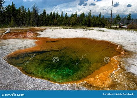 Image result for Geyser Pool