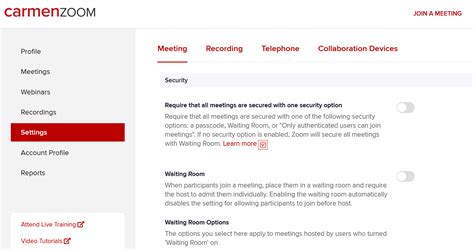 Image result for Zoom Meeting Control Buttons