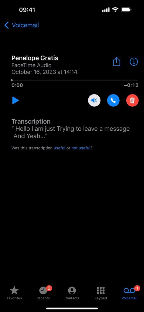 Image result for iOS 14 FaceTime