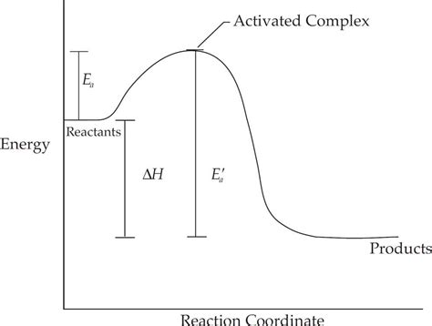Image result for Exothermic Reaction Energy Graph