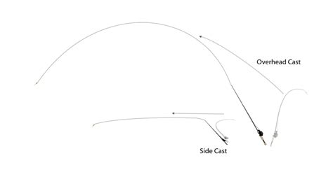 Image result for Fish Rod Cast Out