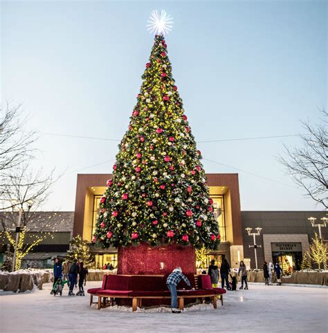 Image result for Tree Bench