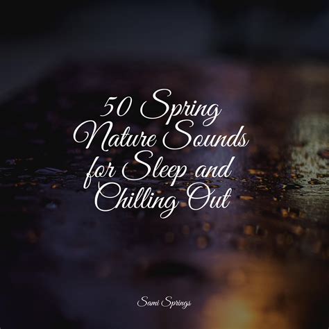 Image result for Calm Spring Music