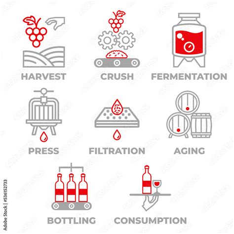 Image result for Wine Production Process