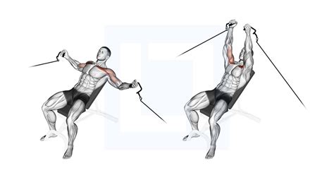 Image result for Incline Bench Cable Fly