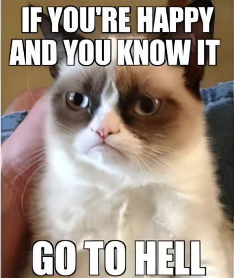 Image result for Grumpy Cat Memes Clean