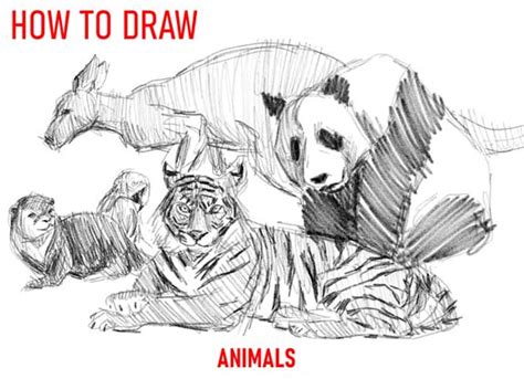 Image result for How to Draw Animals Easy Step by Step