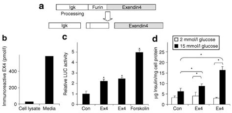 Image result for EX4 Protection