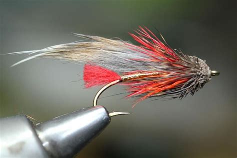 Image result for Muddler Fly Pattern
