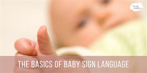 Image result for Baby Sign Language Basics