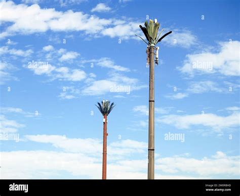 Image result for Fake Tree Cell Tower