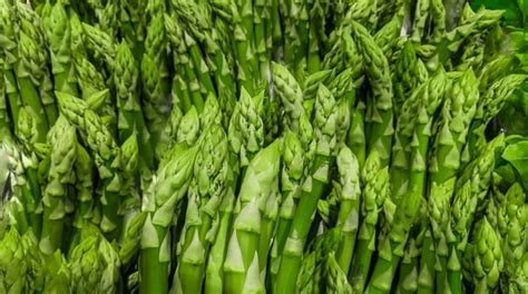 Image result for Crisper Editing Technology