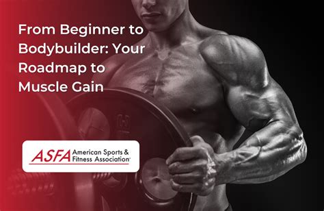 Image result for Beginner Bodybuilder