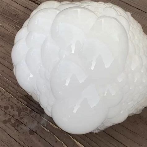 Image result for Dry-Ice Science Project