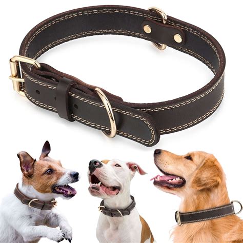 Image result for Metal Collars for Dogs