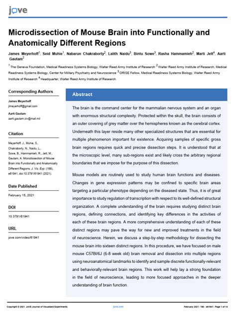 Image result for Mice Brain Dissection