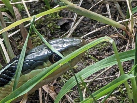 Image result for Alien Time Travel Movie Spoofs