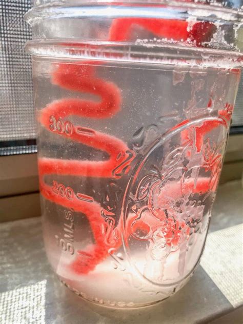 Salt Crystal Leaves – Green Kid Crafts