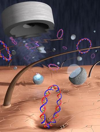 Image result for Bubbl Study Examples