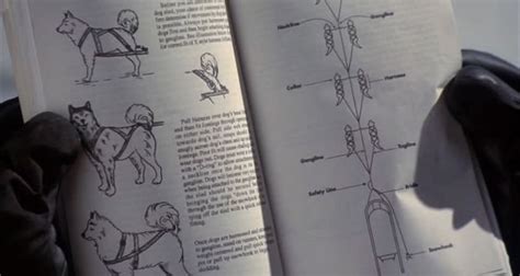 Image result for Snow Dogs Screencaps