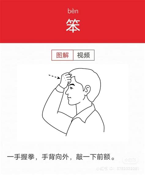 Image result for Chinese Sign Language
