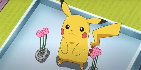 Image result for Types of Pikachu