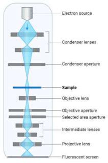 Image result for Tem Microscope Introduction