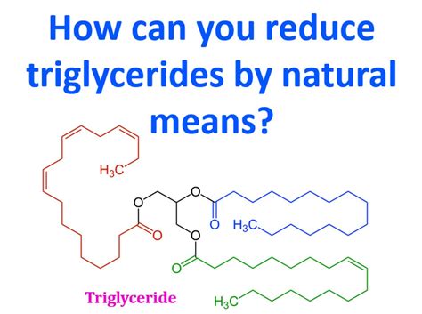 Image result for Reducing Triglycerides