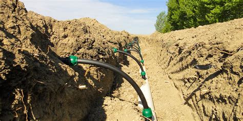Image result for Subsurface Drip Irrigation System