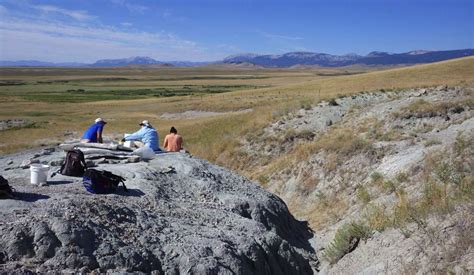 Image result for Fossil Digging