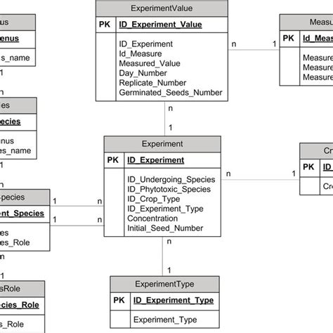 Image result for Database Entities