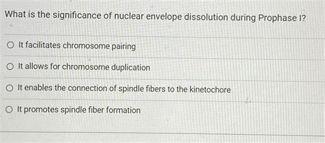 Image result for Nuclear Envelope Dissolution