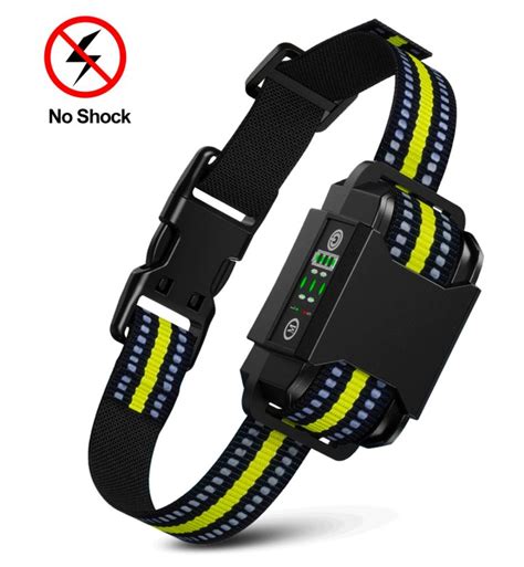 Image result for How to Use Training Collars