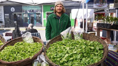 Image result for Salt Spring Island Conservancy