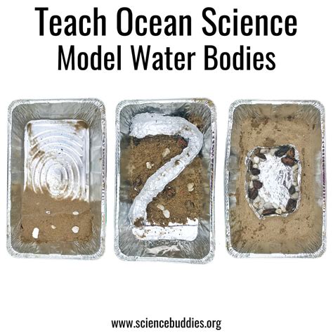 Image result for Marine Science Projects