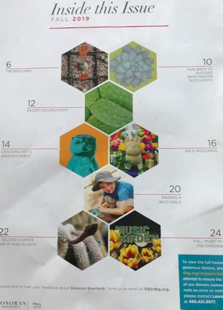 Image result for Chasing Shiny Objects