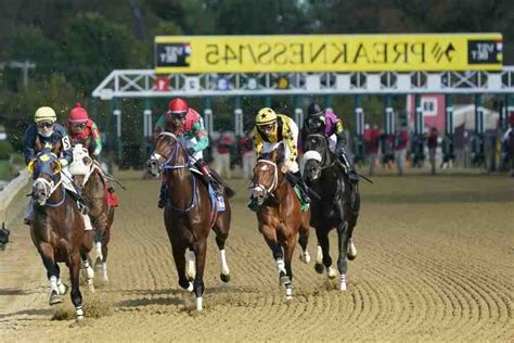 Image result for Course de Chevaux en Direct