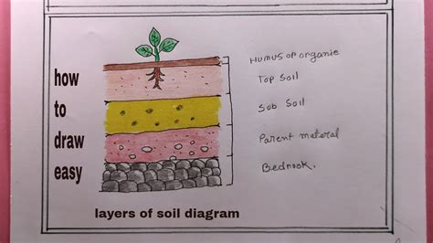 Image result for Humus Layer