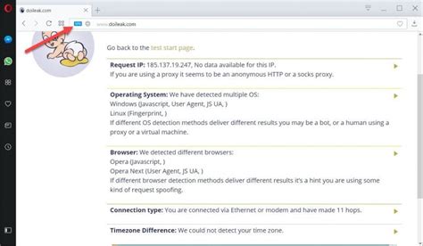 Image result for How to Use Opera VPN