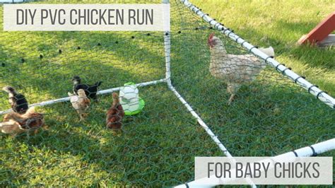 Image result for PVC Pipe Chicken Run