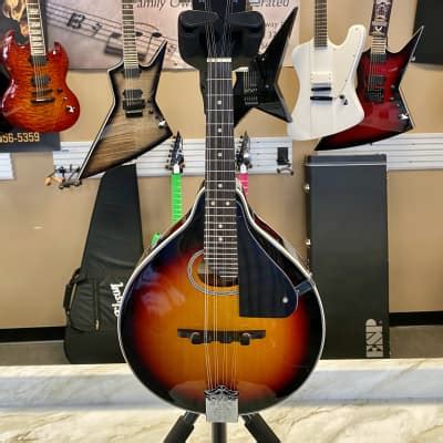 Image result for Round Back Mandolin