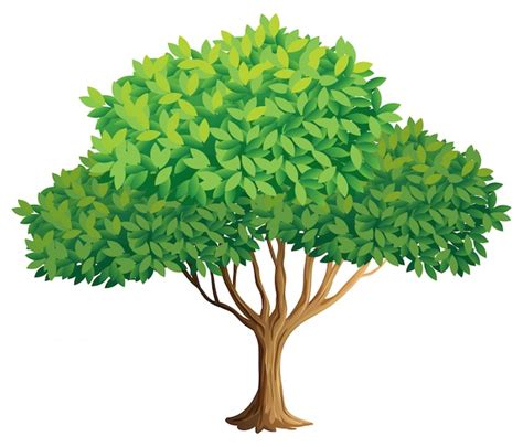 Free Vector | Tree on transparent background