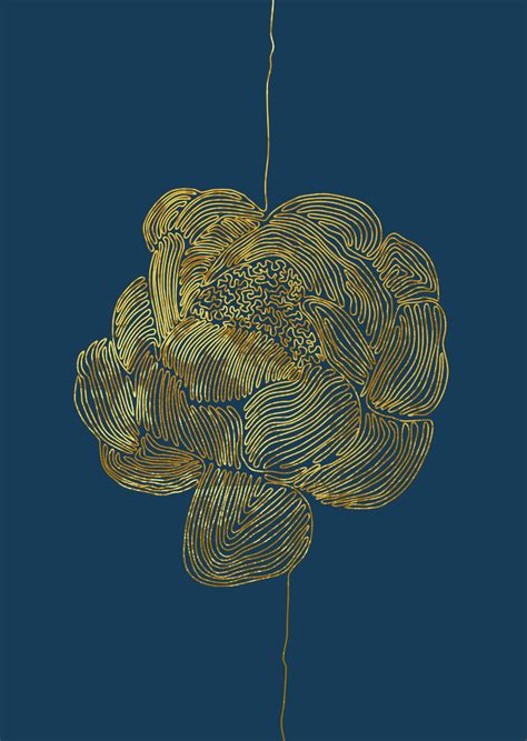 Image result for Affinity Designer Flower